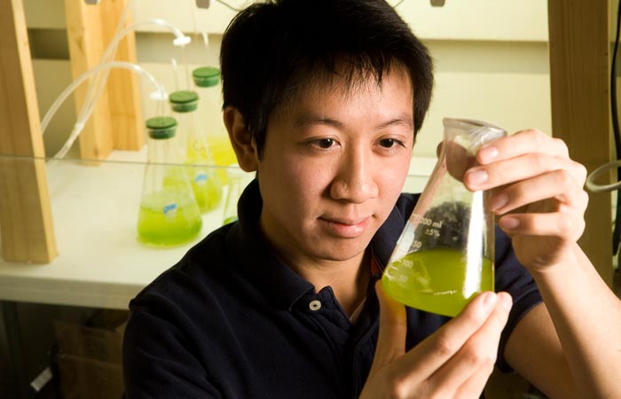 Introduction to Chemistry: Structures and Solutions - Online Duke